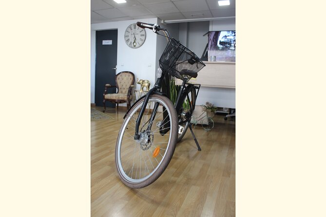 Full Day Bike Rental in Malaga - Inclusions and Accessibility