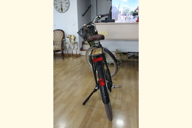 Full Day Bike Rental in Malaga - Fitness Level Requirements