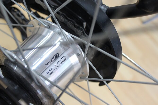 Full Day Bike Rental in Malaga - Exploring Malaga by Bike