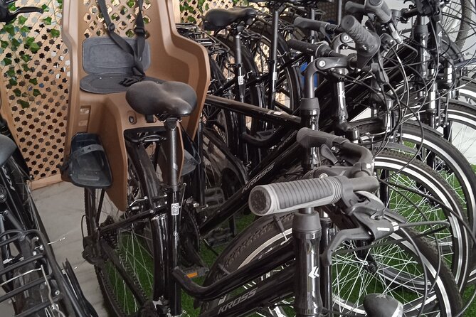 Full Day Bike Rental in Seville - Why Choose a Bike Rental in Seville?