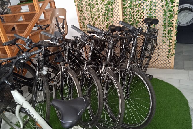 Full Day Bike Rental in Seville - The Value: Cost vs. Experience