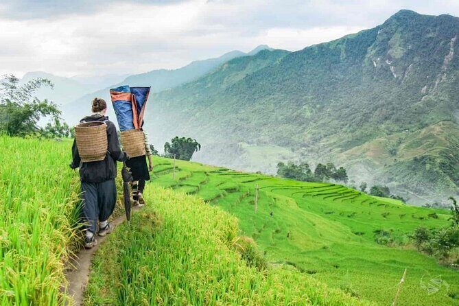 Full day - Biking tour in Sapa - Why Choose This Tour?
