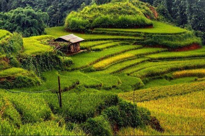 Full day - Biking tour in Sapa - FAQs