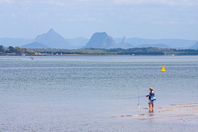 Full Day Birdlife Tour in Bribie Island - An In-Depth Look at the Bribie Island Birdlife Experience