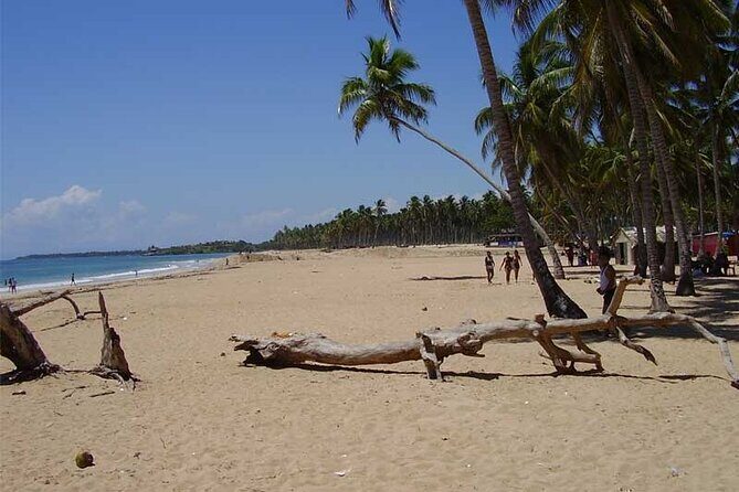 Full-Day Blue Lagoon Tour in Dominican Republic - Key Points