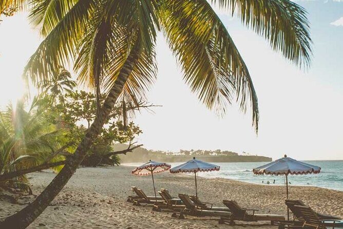 Full-Day Blue Lagoon Tour in Dominican Republic - The Sum Up: Who Will Love This Tour?