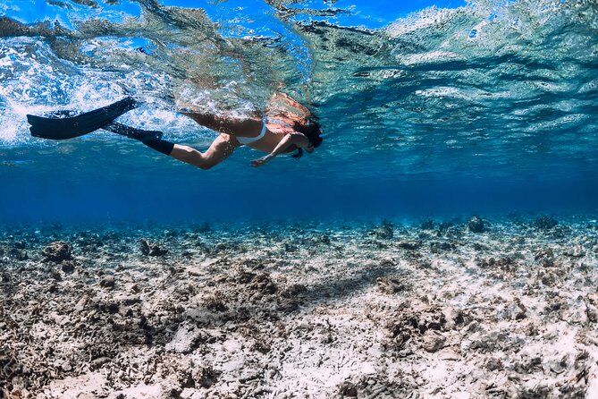 Full Day Boat Tour, Blue Lagoon and ŠOlta With Lunch&Drinks - Snorkeling Locations