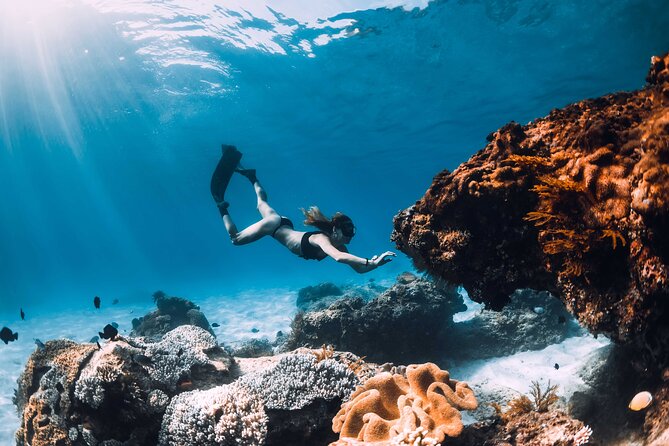 Full Day Boat Tour, Blue Lagoon and ŠOlta With Lunch&Drinks - Feedback on Food and Drinks