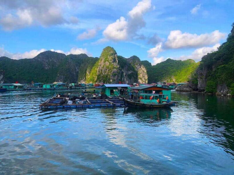 Full Day Boat Tour explore Cat Ba Archipelago & Lan Ha Bay - Who Will Love This Tour?