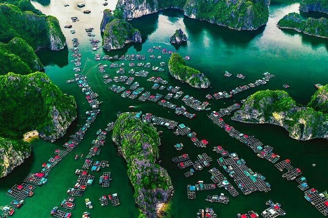 Full Day Boat Tour in Halong Bay, Cat Ba Archipelago & Lan Ha Bay - Who Will Love This Tour?