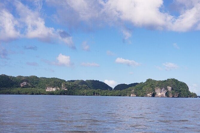 Full-Day Boat Tour of Los Haitises National Park - Exploring the Itinerary: What You Can Expect