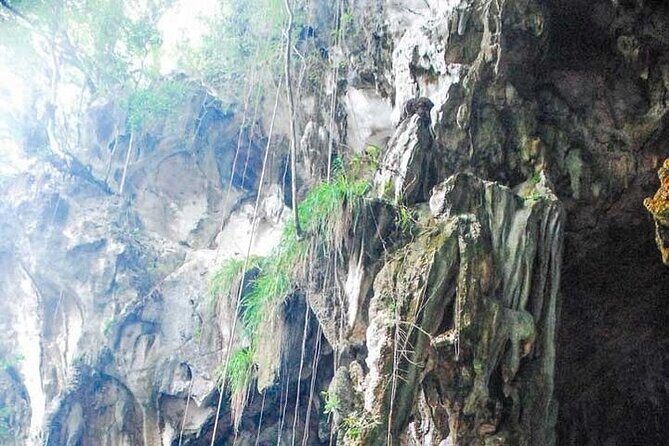 Full-Day Boat Tour of Los Haitises National Park - Who Will Love This Tour?