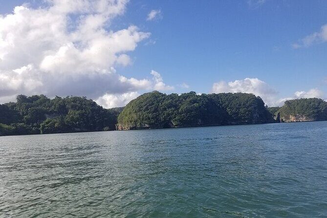 Full-Day Boat Tour of Los Haitises National Park - FAQs