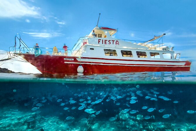 Full Day Boat Tour Transfers & Lunch Included - Customer Feedback