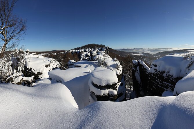 Full Day Bohemia Tour: Tisa Rocks, Bastei, Brewery & Beer Tasting - Ensuring Health and Safety