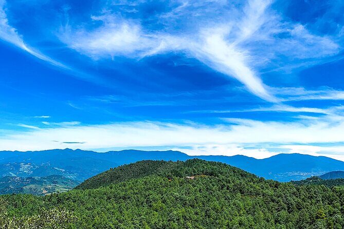 Full Day Bromeliad Forest Tour from Oaxaca - Exploring the Itinerary