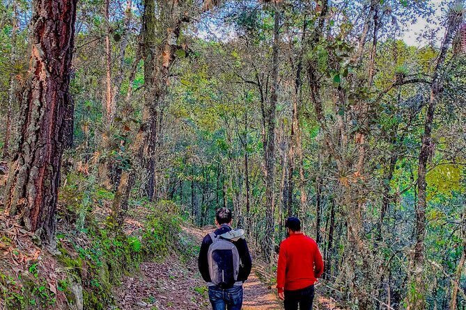Full Day Bromeliad Forest Tour from Oaxaca - FAQ