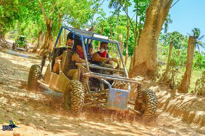 Full-day Buggy & Party Boat tour: snorkel, open bar, cave pool - Key Points