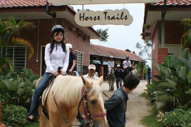 Full-Day Bukit Tinggi French Village Tour - The Sum Up