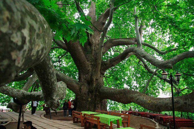 Full Day Bursa Tour from Istanbul(with cable car) - What Makes This Tour Stand Out?