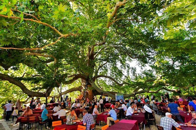 Full Day Bursa Tour from Istanbul(with cable car) - Who Will Love This Tour?