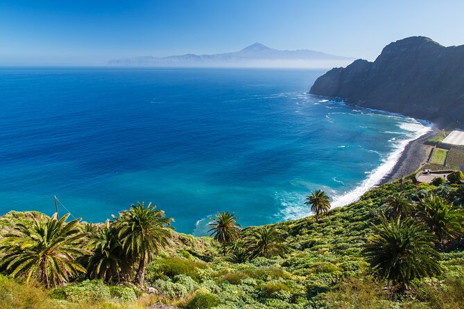 Full-Day Bus Tour to La Gomera Island With Professional Guide - Key Points