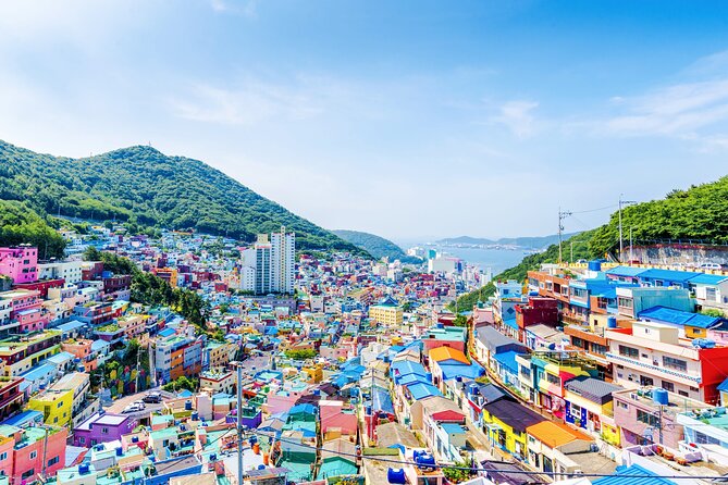 Full-Day Busan Highlights Private Guided Tour - Transportation, Timing, and Value