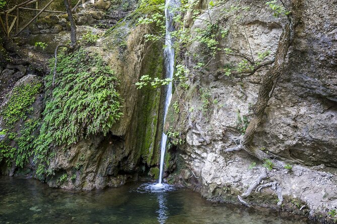 Full Day Butterflies and Boat Tour to Chalki Island - Analyzing the Experience: Value, Comfort, and Authenticity