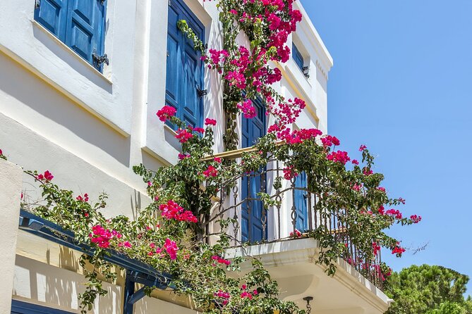 Full Day Butterflies and Boat Tour to Chalki Island - Who This Tour Is Best For