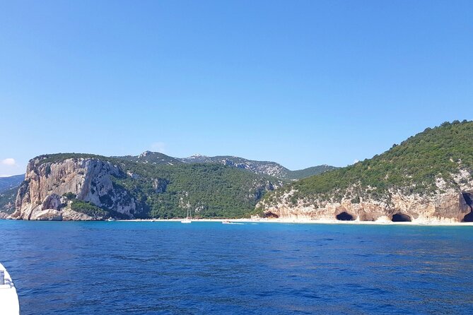 Full Day Cala Gonone and Gulf of Orosei Mini Cruise - Who Should Consider This Tour?