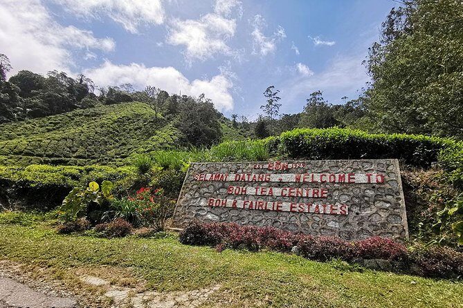 Full-Day Cameron Highlands & Batu caves Tour - Final Thoughts