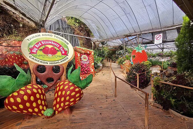 Full-day Cameron Highlands & Batu Caves Tour from Kuala Lumpur - Frequently Asked Questions