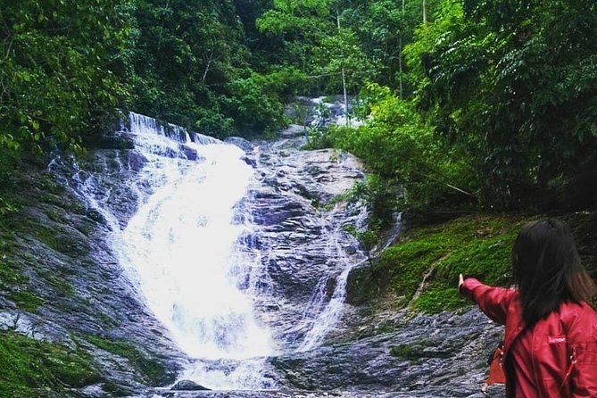 Full-day Cameron Highlands Day Trip from Kuala Lumpur - The Sum Up: Is it Worth It?