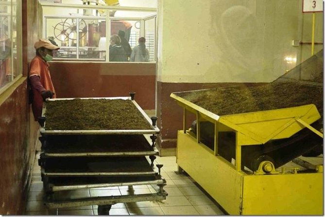 Full-day Cameron Highlands Day Trip from Kuala Lumpur - FAQ