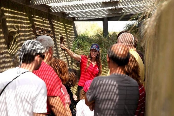 Full-Day Canadian Battlefields and Sites Normandy Tour - Juno Beach