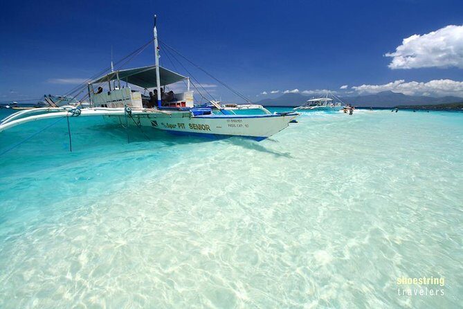 Full Day Canyoning and Whaleshark Adventure from Cebu City or Mactan Area - An In-Depth Look at the Tour Experience