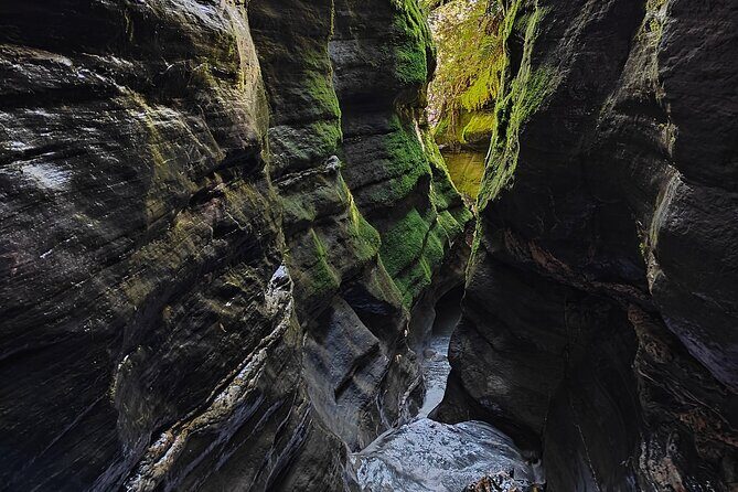 Full Day Canyoning in Glenorchy Paradise from Queenstown - Analyzing the Value: Price and Experience