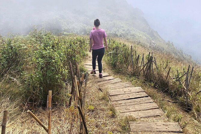 Full-Day Car Hire with Private English Speaking Driver - The Review Takeaway