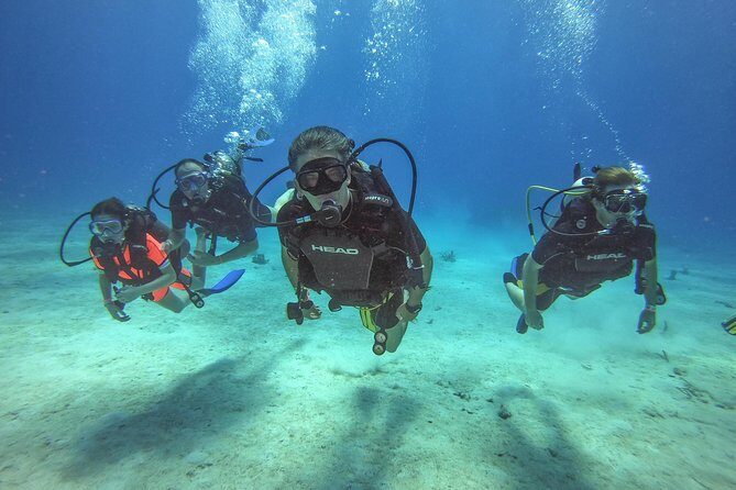 Full-Day Catalina Island Scuba Diving Tour from La Romana - Key Points