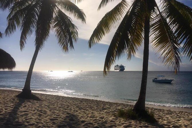 Full-Day Catalina Island Scuba Diving Tour from La Romana - Logistics: How the Day Comes Together