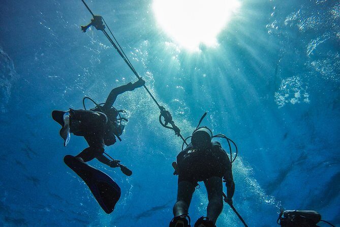 Full-Day Catalina Island Scuba Diving Tour from Punta Cana - Key Points