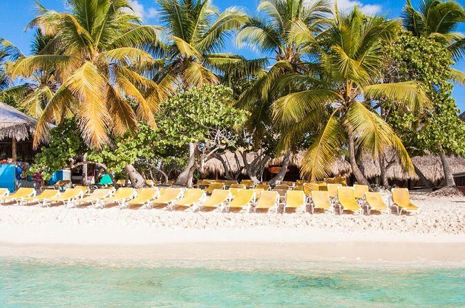 Full-Day Catalina Island Scuba Diving Tour from Punta Cana - Analyzing the Value for Money