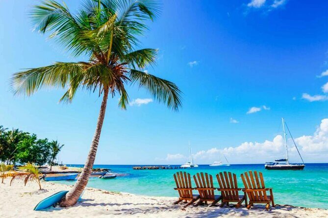 Full-Day Catalina Island Snorkeling Excursion from Punta Cana - An In-Depth Review of the Catalina Island Snorkeling Day Trip