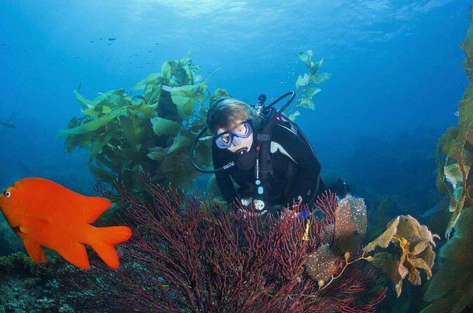 Full Day Catalina Island With Scuba Diving - FAQ