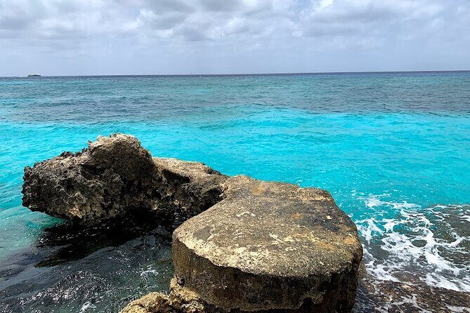 Full-Day Catamaran Cozumel Tour with Sky Snorkeling - Authentic Experiences and Guest Feedback
