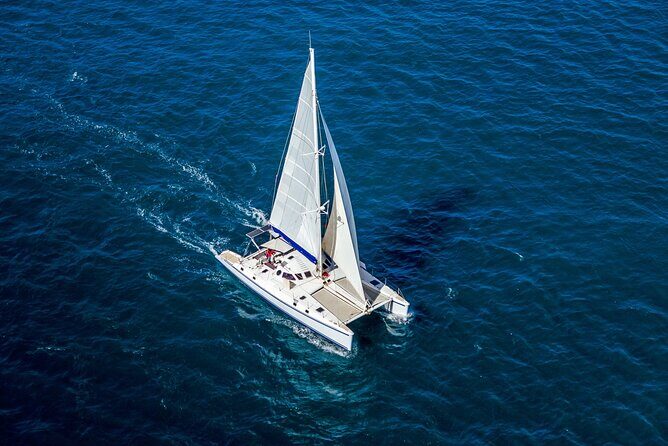 Full Day Catamaran Private Tour in Grenada - Who Should Consider This Tour?