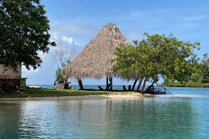 Full-Day Catamaran Sailing Caribbean Beaches With Snorkelling and Lunch - Tips and Recommendations