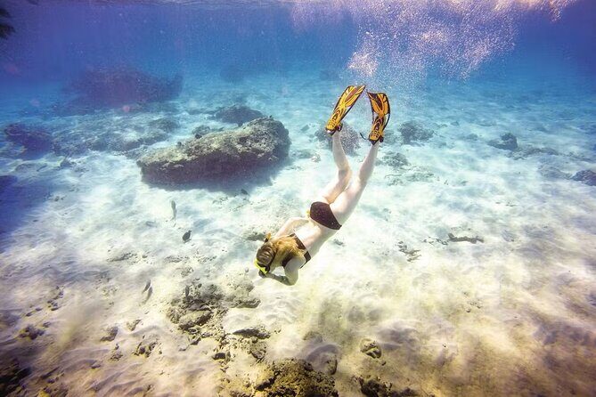 Full-Day Catamaran Snorkeling Tour with Lunch from Puerto Plata - Key Points