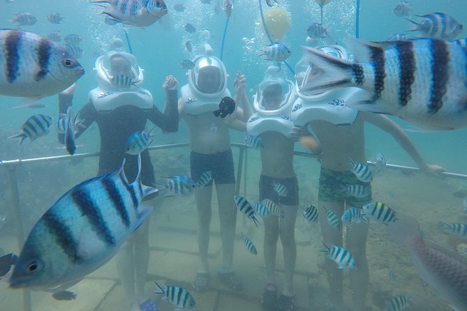 Full-day Cham Islands Cruise from Hoi An with Underwater Walking Excursion - FAQ