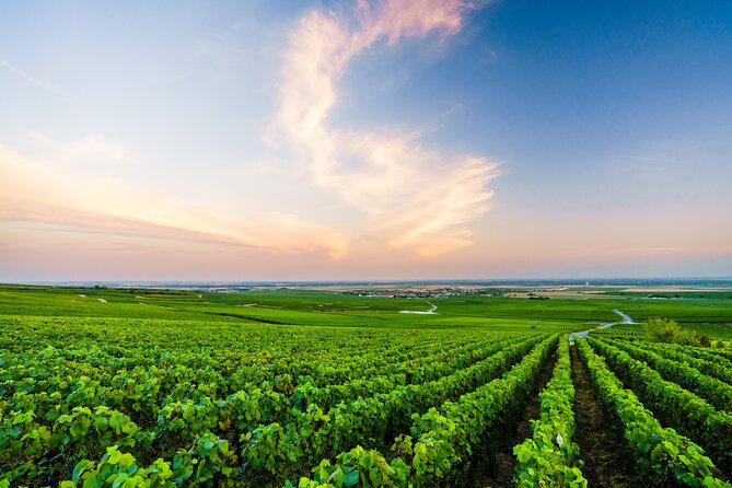 Full Day Champagne Pommery Small Group Tour - Tasting Experiences